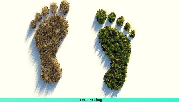 NUESTRA HUELLA ECOLÓGICA Y LA BIOCAPACIDAD DE LA TIERRA - Careta Verde