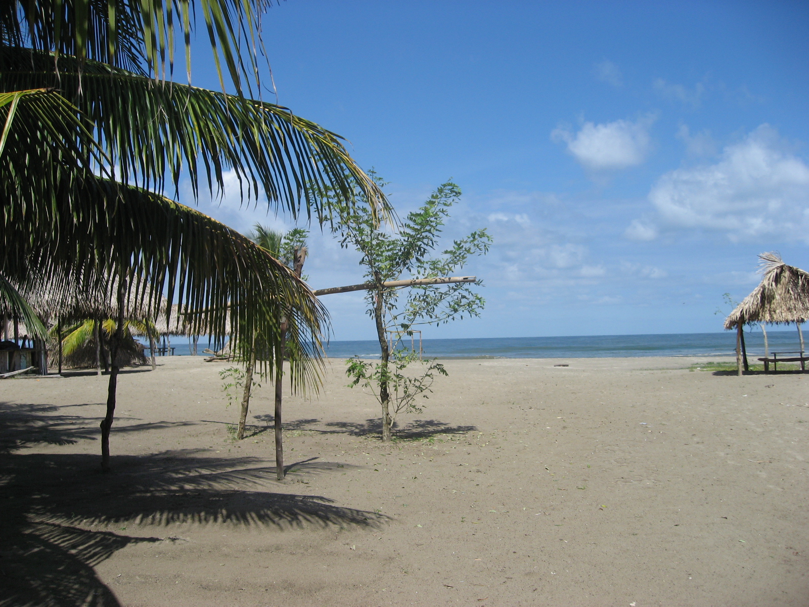 caminos por el mundo: Tela, Honduras...