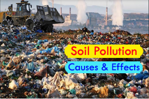 Soil Pollution, its causes and effects (Paragraph)