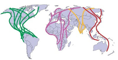wild shores of singapore: 11-12 May: World Migratory Bird Day