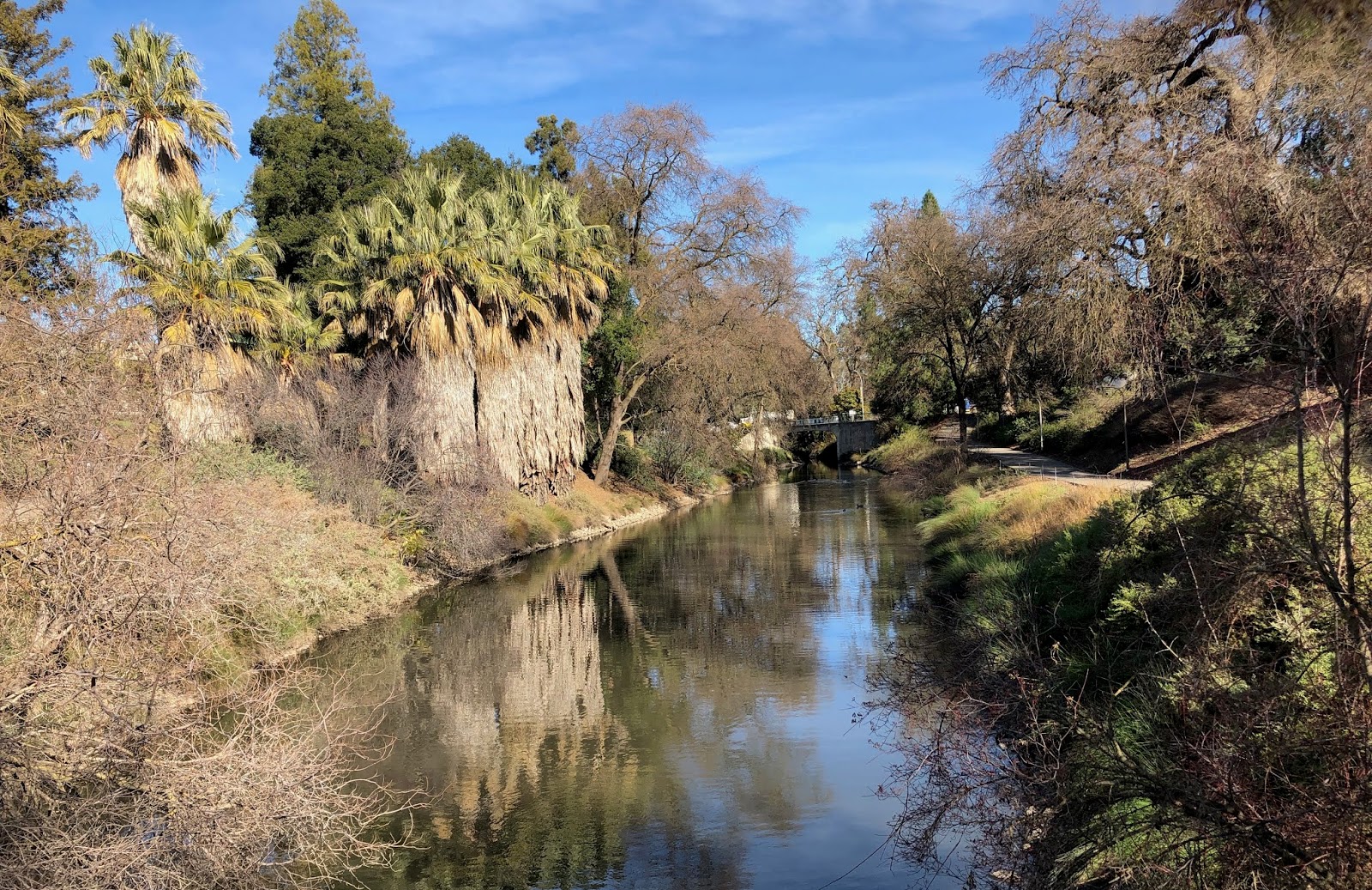Sacramento Digs Gardening: UC Davis Arboretum needs you!
