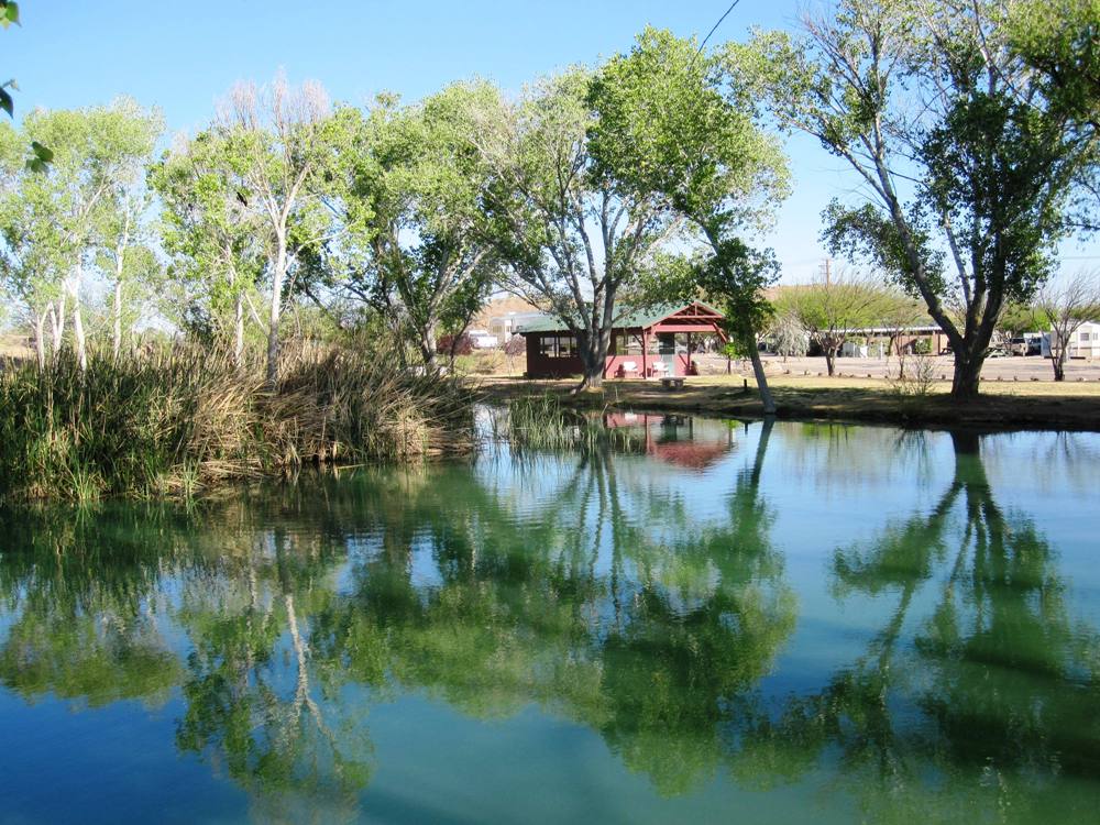 "The Next Chapter" Rated RV-13: April 16 – 22, 2012 “Deming, NM to ...