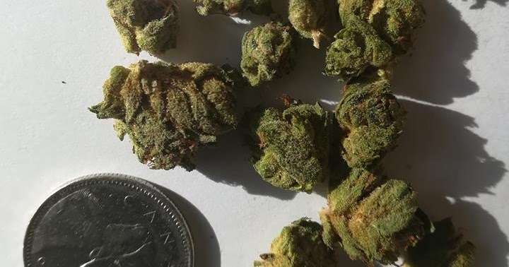 Review: Blue Ninety Eight ( Rockstar kush) by RIFF