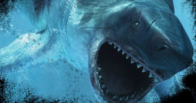 Scientists Managed To Establish Exactly How The Megalodon Looked Like ...