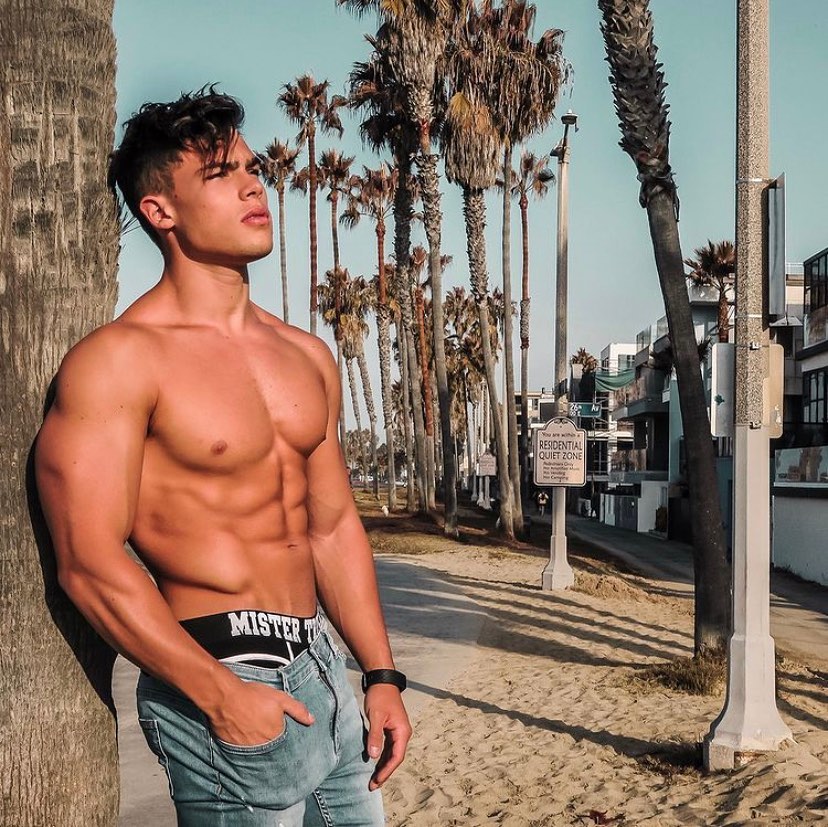 the beauty of male muscle: Gabriel