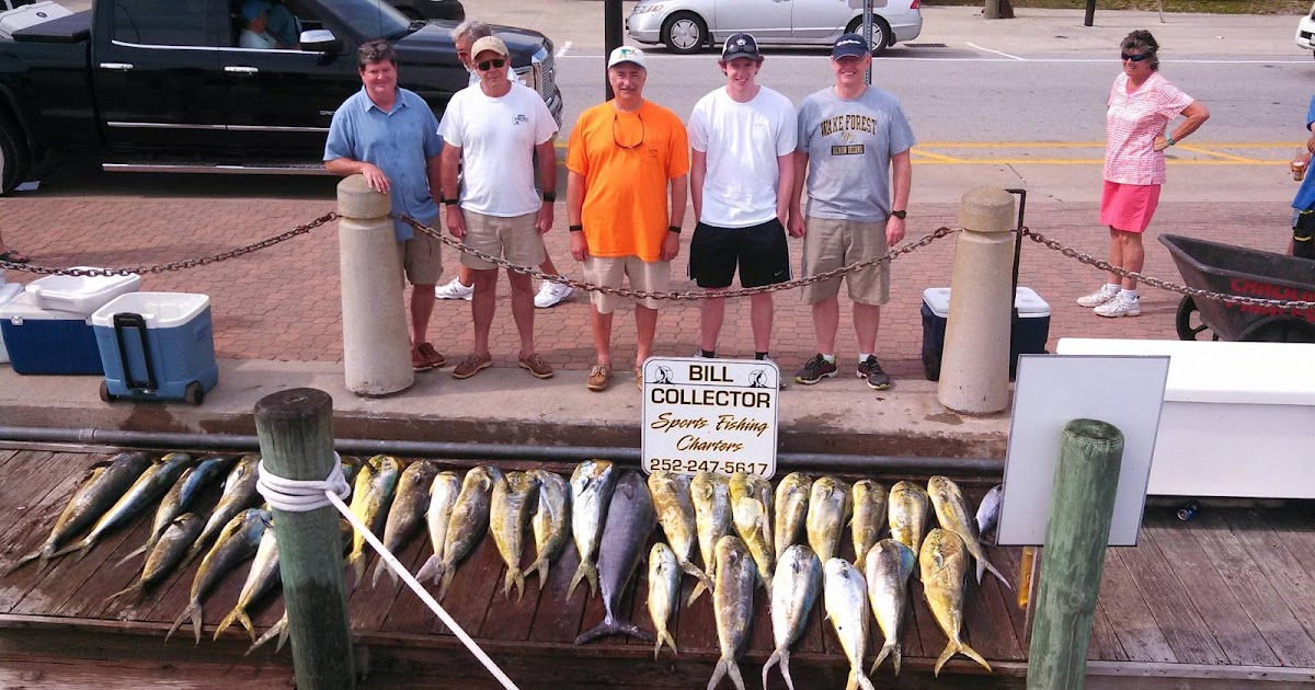 Bill Collector Charters