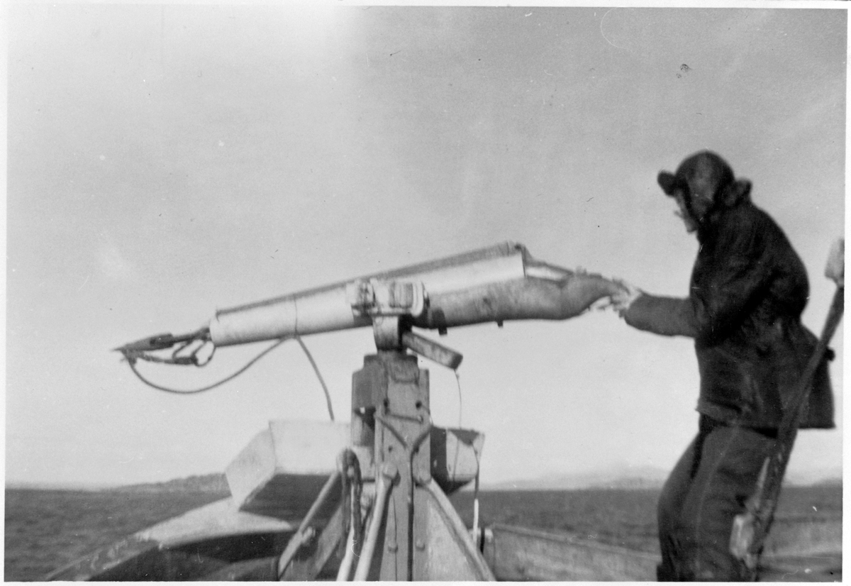 På leting etter: : Hvalfangst langs Finnmarkskysten