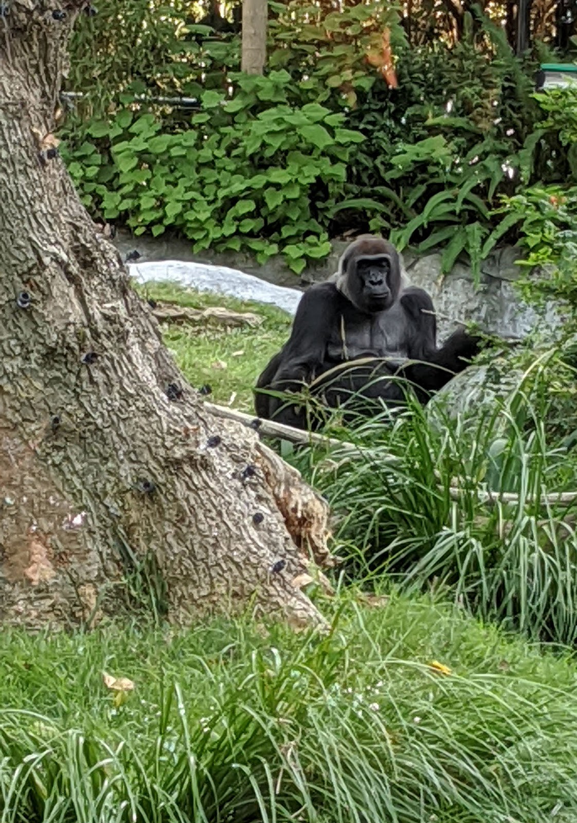 Around the World With Uncle Moose: 2019