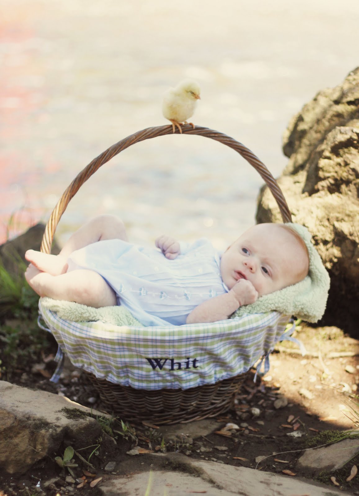 Mallory Barnett Photography
