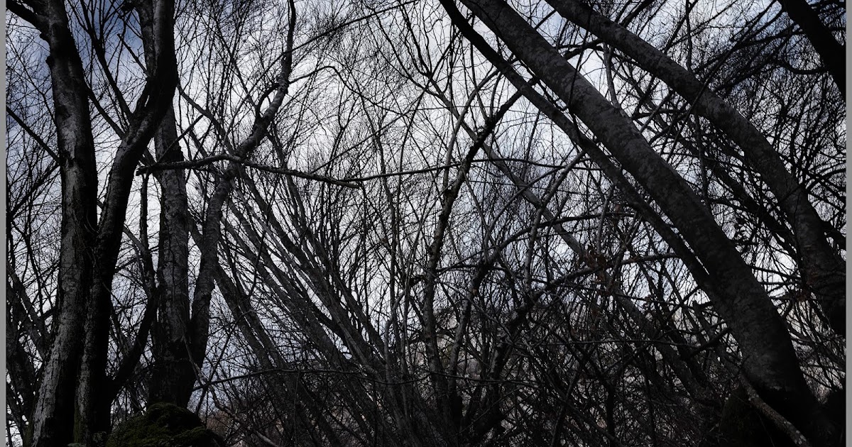 calendario de instantes: Incrustada