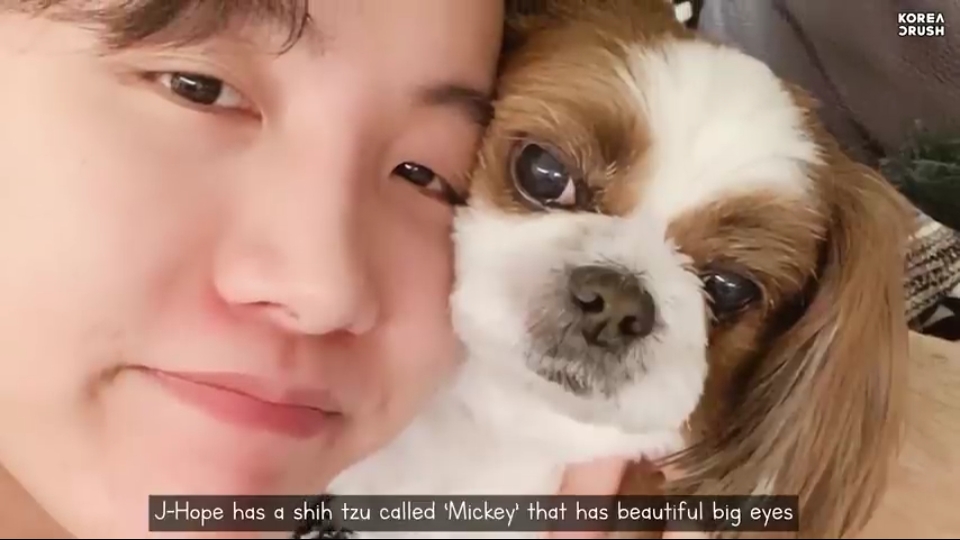All about BTS' Pets! Introducing BTS' New Family | BTS's Pet Full Info:
