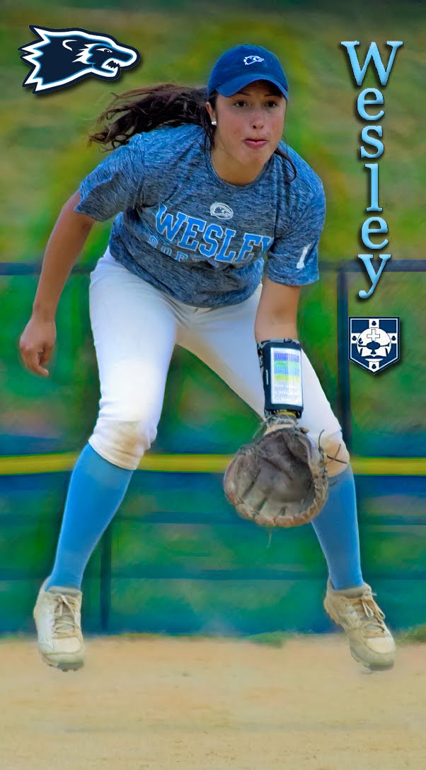 Wesley Wolverines Fastpitch Softball: AUBURN HOP