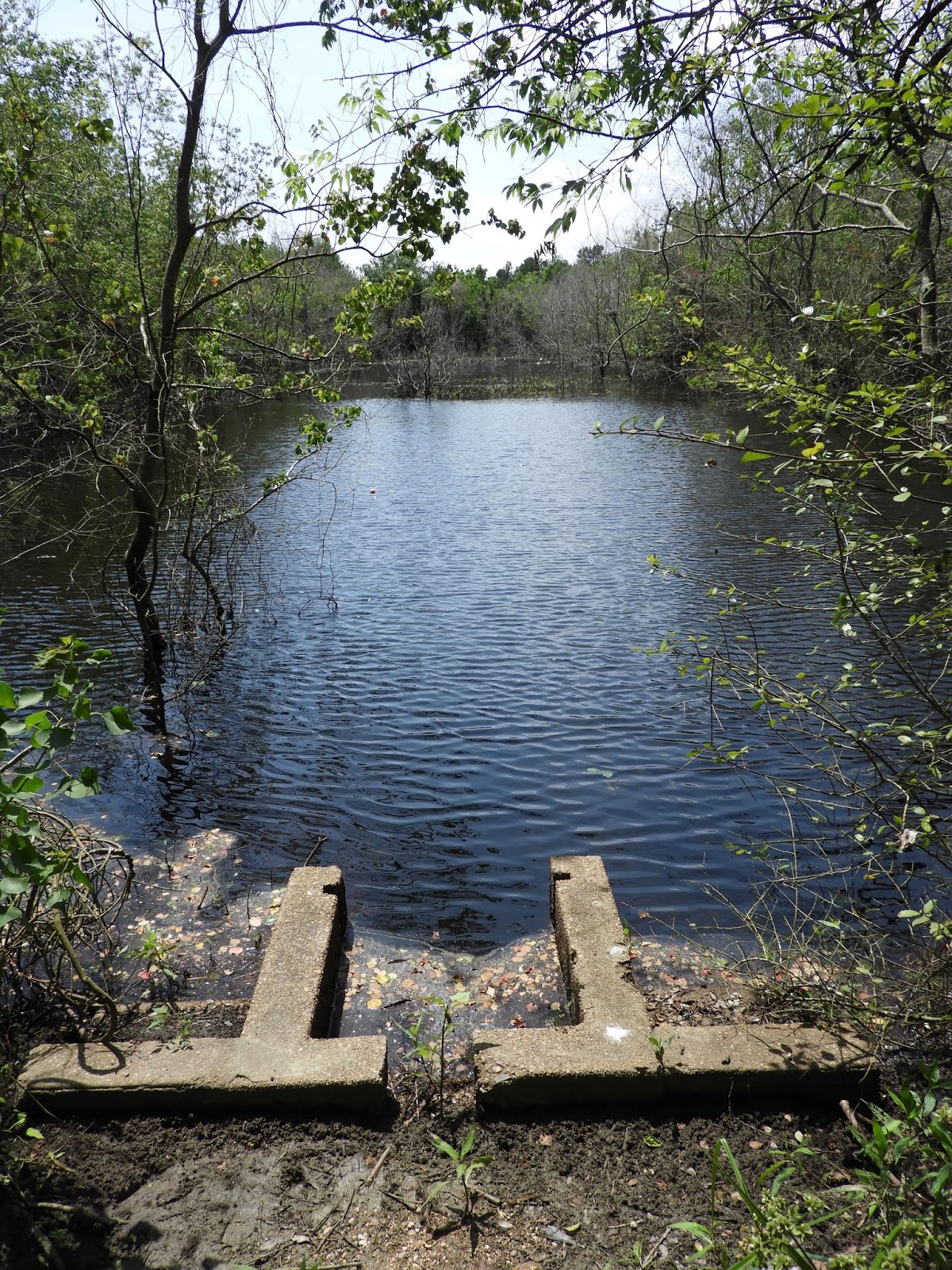 Texas State Parks and Travel Tour: Sheldon Lake SP & Environmental ...