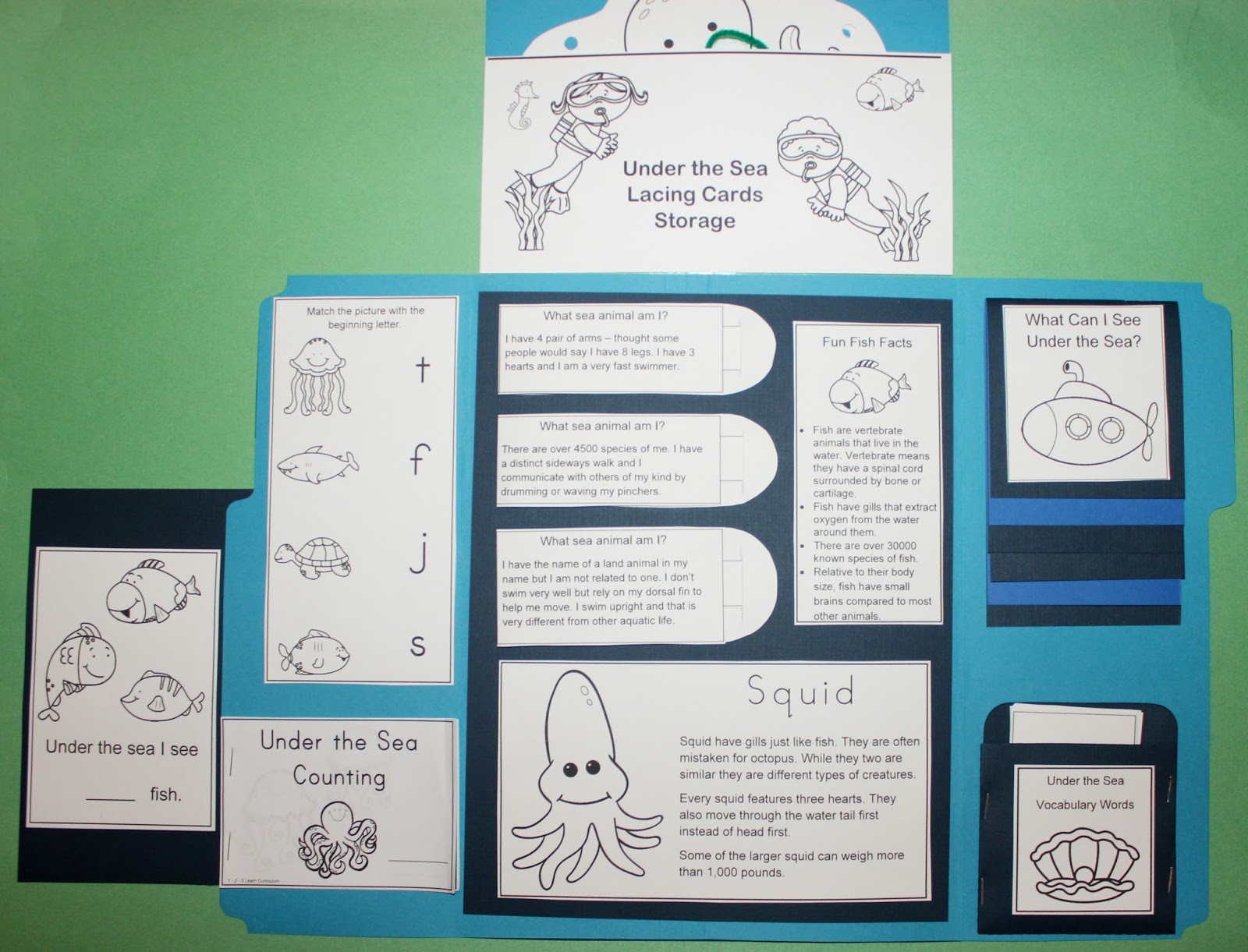 1 - 2 - 3 Learn Curriculum