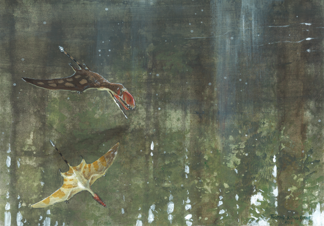 Palaeos, la historia de la Vida en la Tierra: Los animales en Jurassic ...