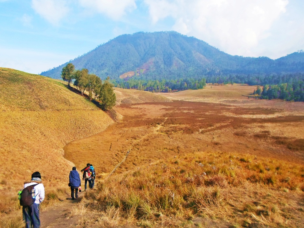 Pendakian Gunung Semeru via Ranu Pane, Menuju Atap Tertinggi Jawa - Manusia Lembah