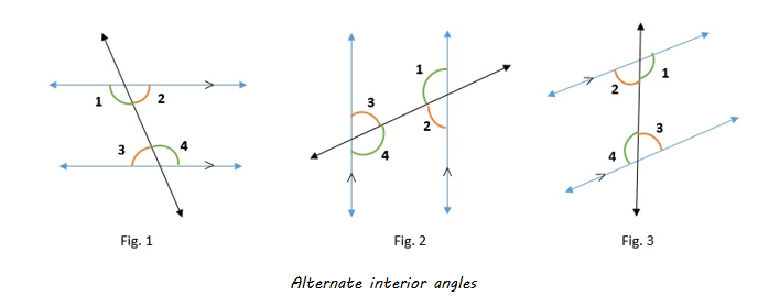 The Study Zone: Angles and their relation