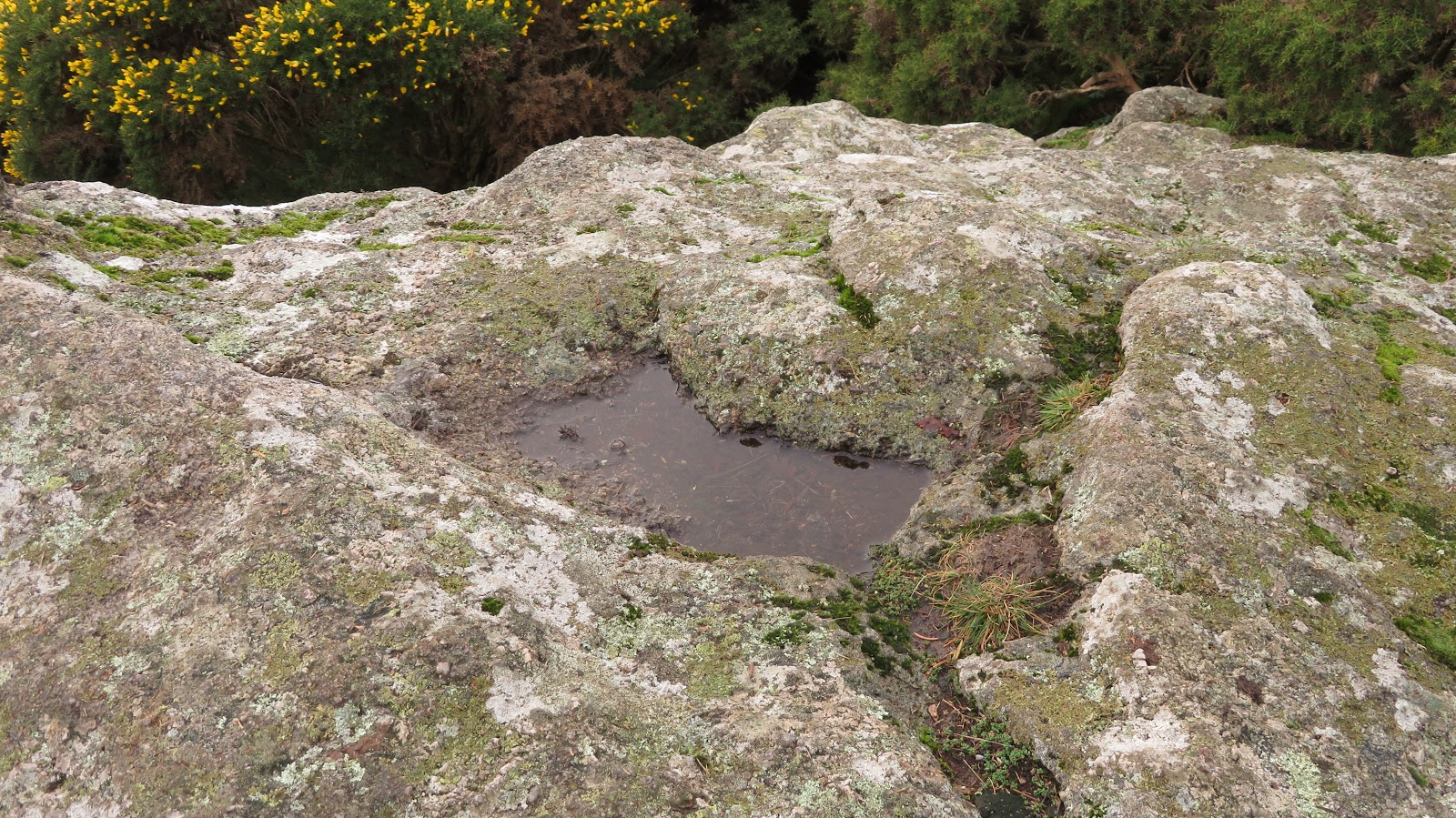 Max Piper - Tor Bagger: Dartmoor: Moretonhampstead to Manaton hike (8 ...