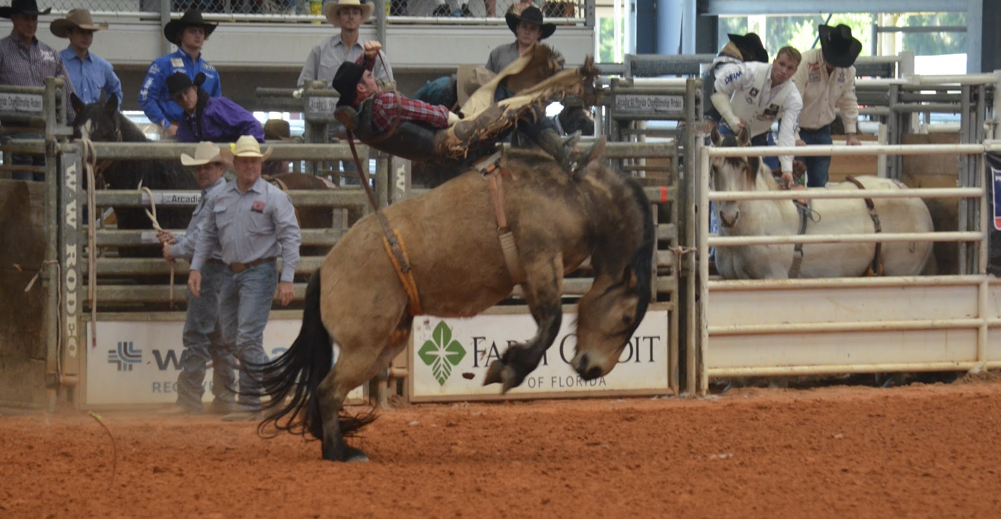 the other paper: Arcadia All-Florida Championship Rodeo Is A Bucking ...