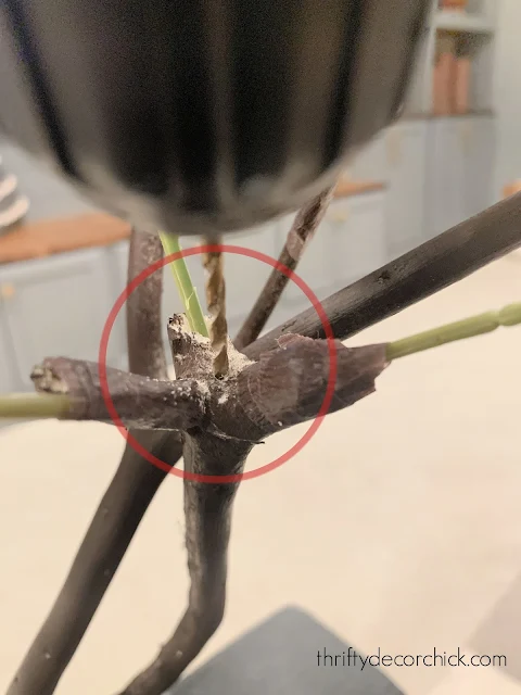 How to Make a DIY Fake Olive Tree for Less Than Buying | Thrifty Decor ...