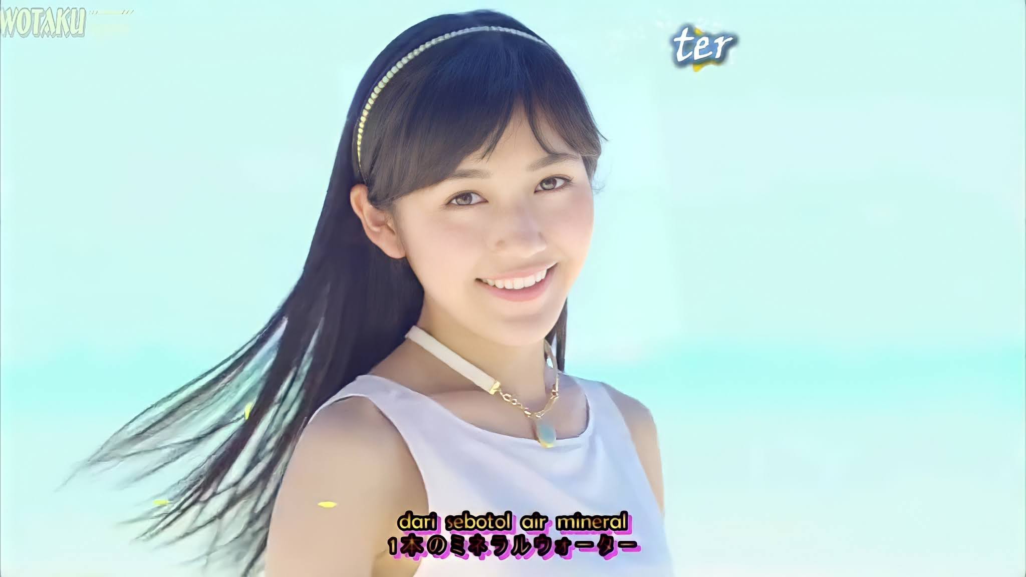 [MV] Labrador Retriever - AKB48 SUBTITLE INDONESIA Kara Fx