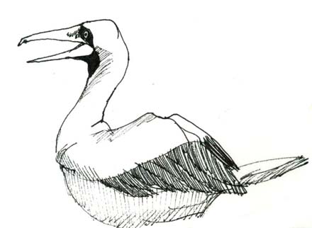 Art by Jeane Nevarez: seabird