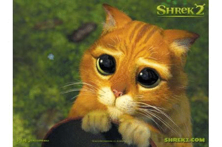 Allanah Whatling's Blog: Frames: High angle.