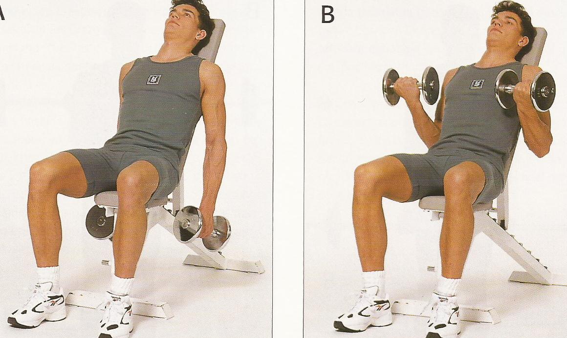 MOTIVATE SPORT: ENTRENO COMPLETO CON MANCUERNA Y BANCO