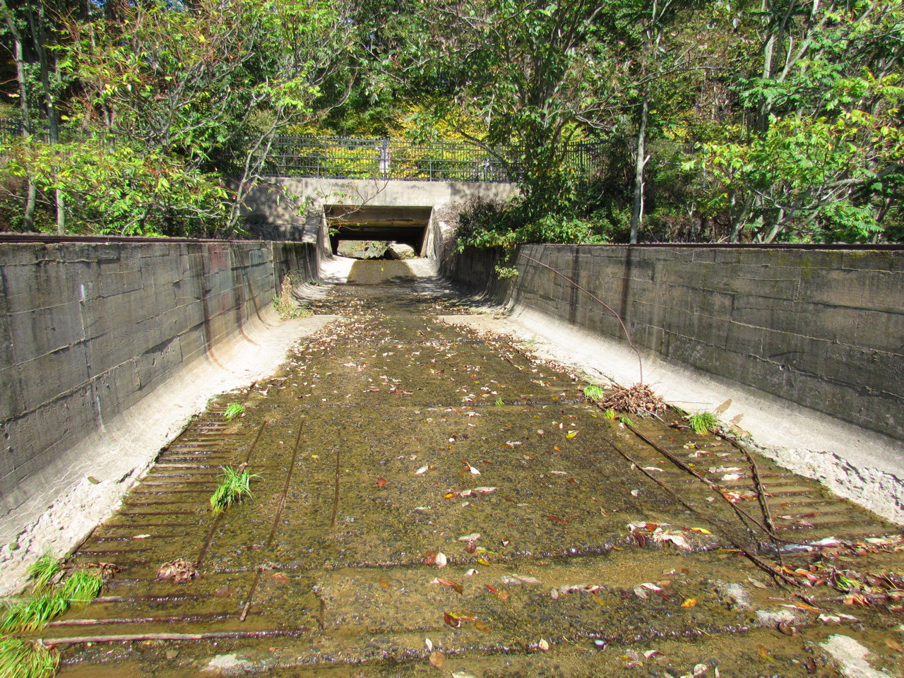 Jersey Mike's Rail Adventures: 13-10-14 PHOTOS: Shoofly Two