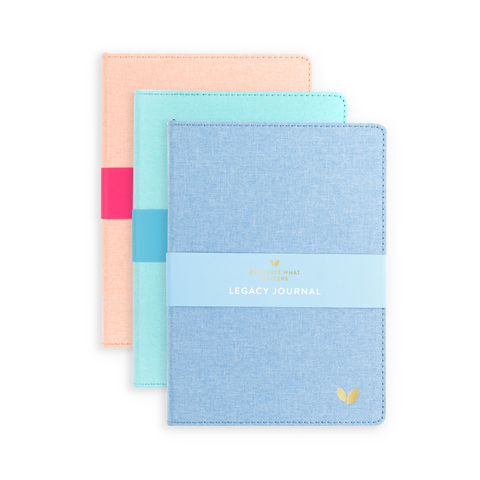 Faith, Grace & Giggles