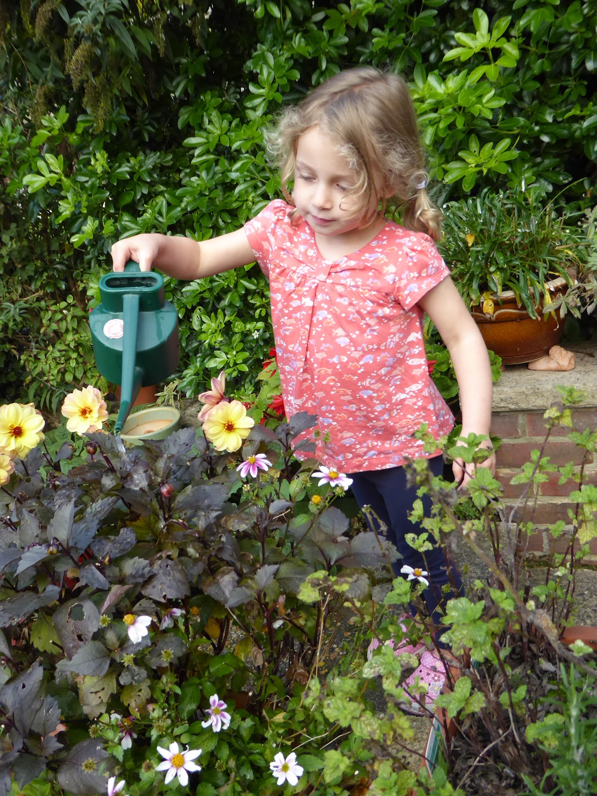 Jane's Journal: Gardener's helper