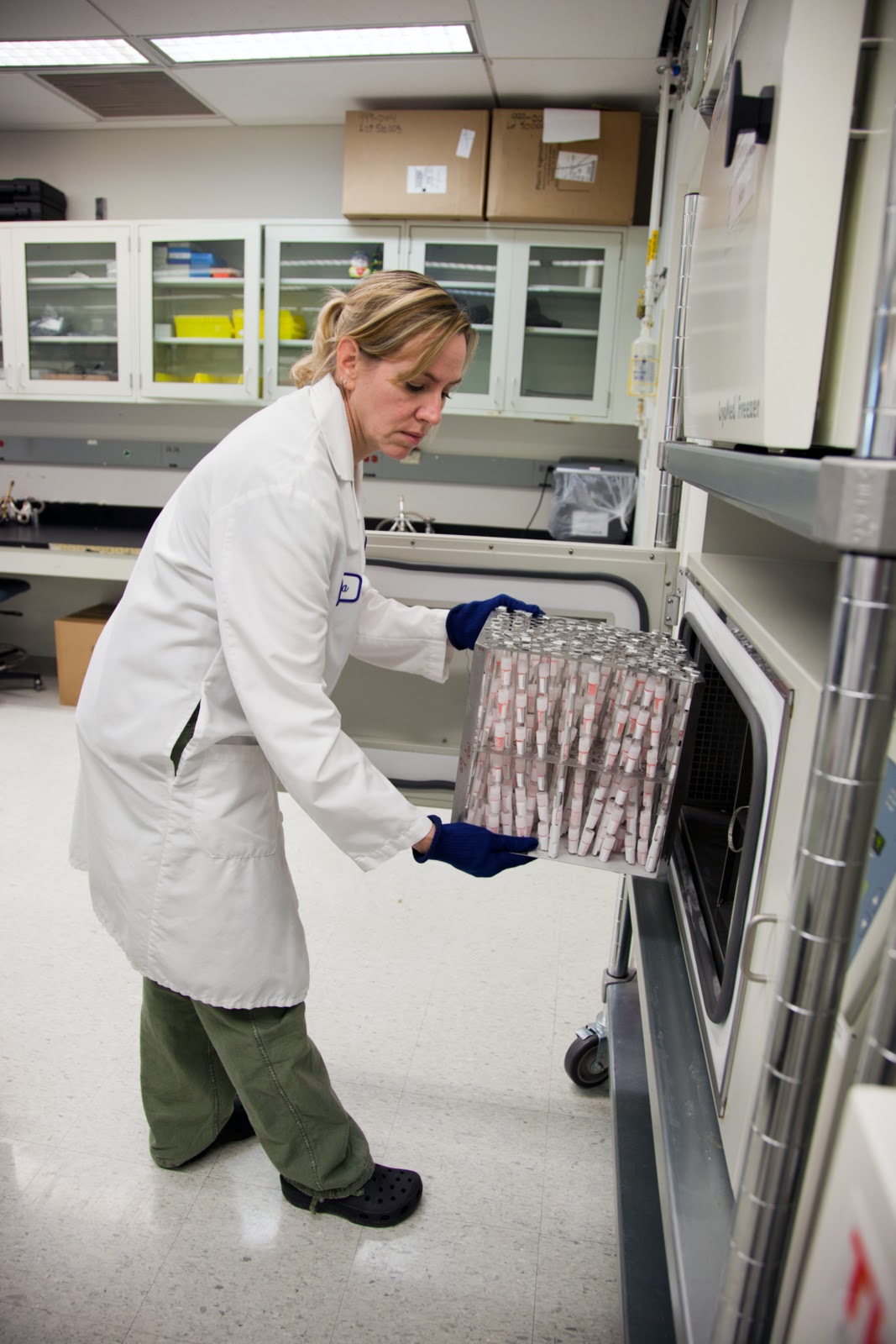 The Cell Culture Conversation: Tools for combating cell line ...