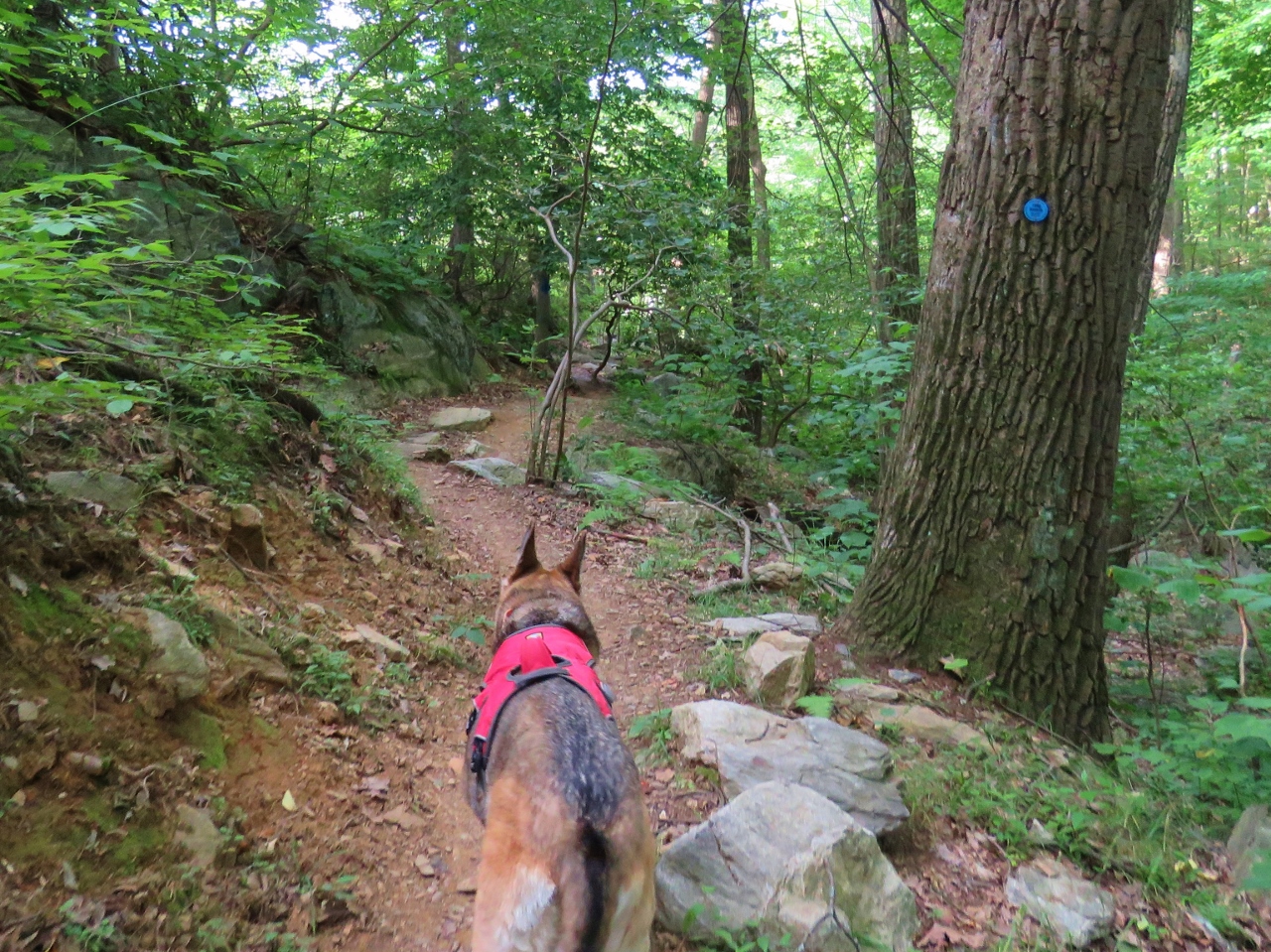 Gone Hikin': Fahnestock State Park, NY - Canopus Lake
