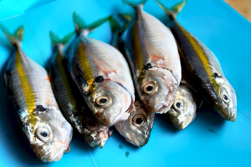 Hello & goodbye | dead-hungry