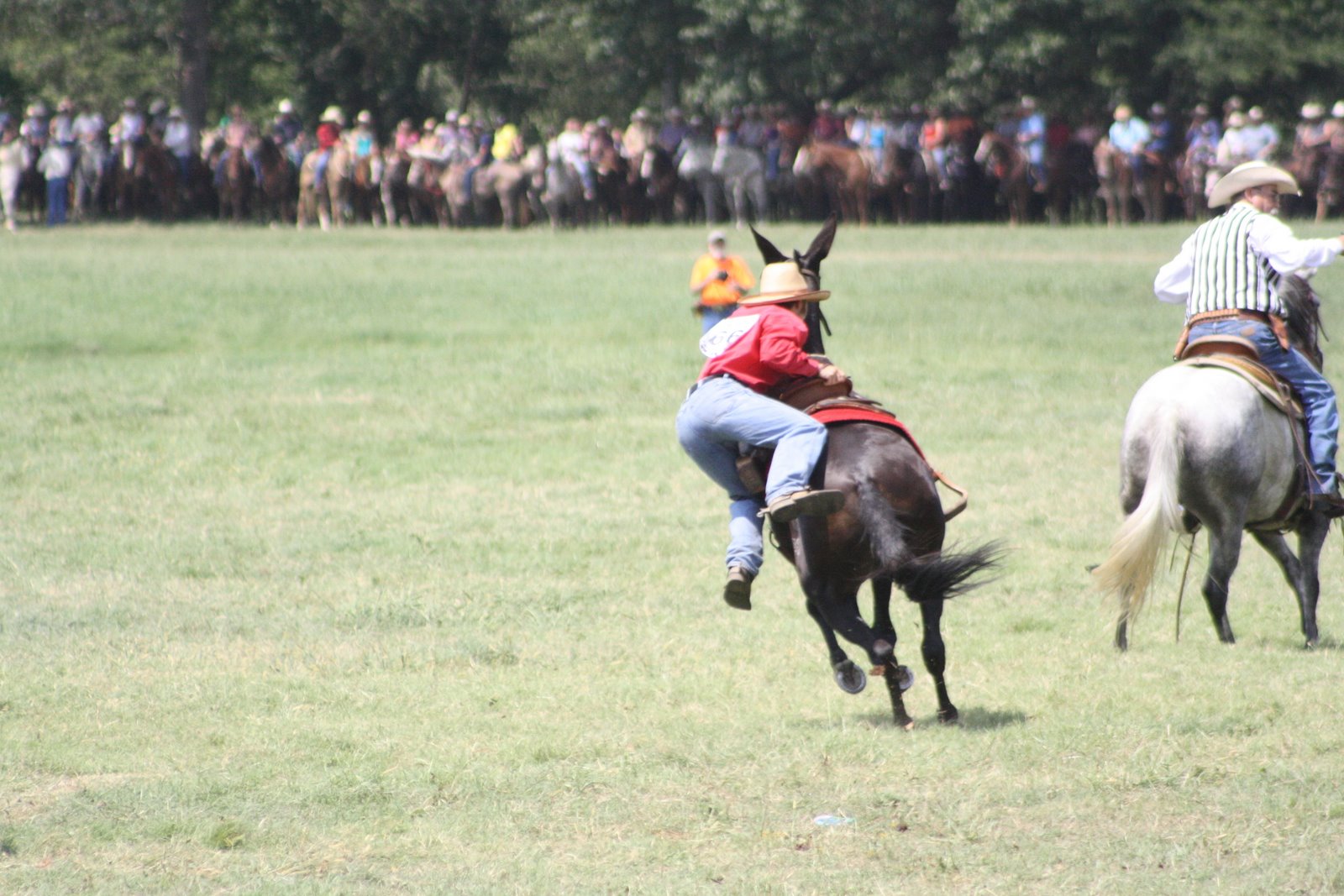 PairADice Mules: Friday's Saddle Mule Race
