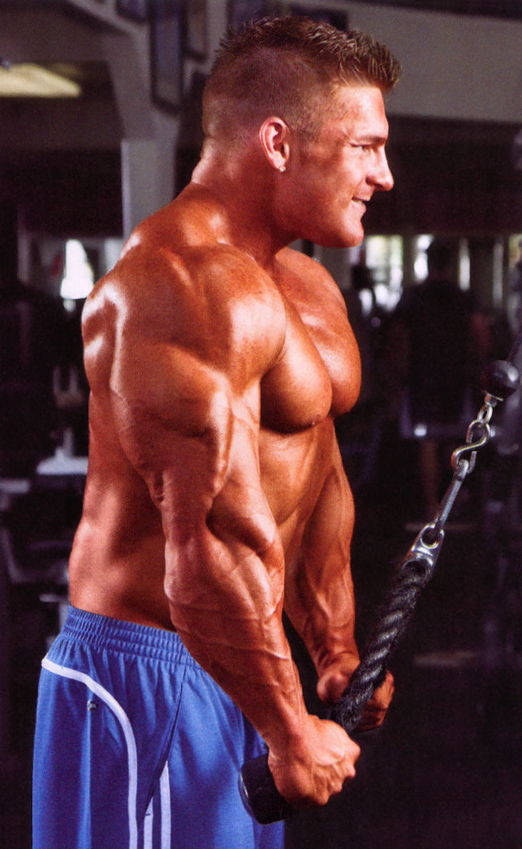 the beauty of male muscle: James