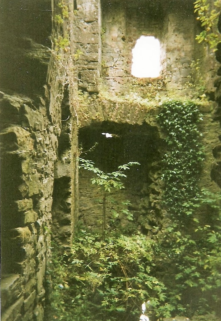 Kilkenny Graveyards: Grannagh (Granny) or Grandison Castle, Parish of ...