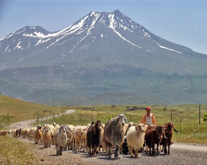Turkiet semester hotell och lägenheter: Aksaray aktiv semester i Turkiet
