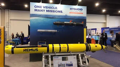 DEFENSE STUDIES: RNZN to Order Four REMUS 300 UUV