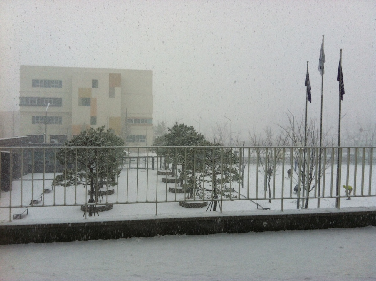 Doublecross in Daegu: Winter in Daegu