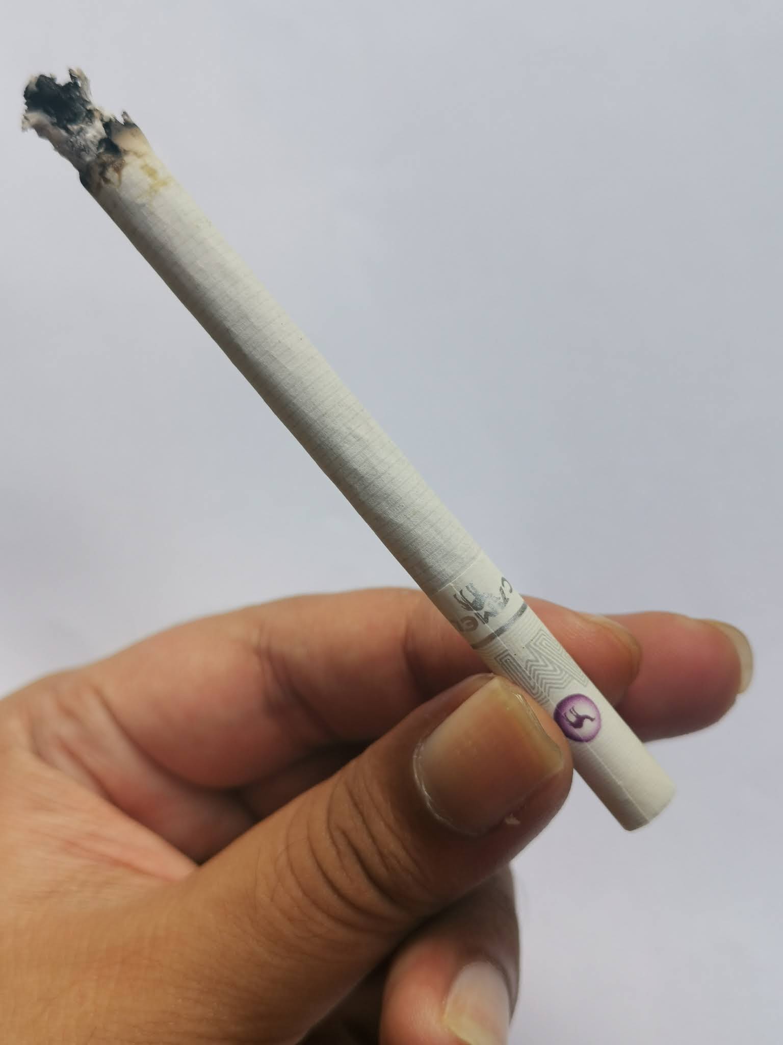 Camel Mild Option Purple Kretek 12, SKM LTLN Value For Money Pertama ...