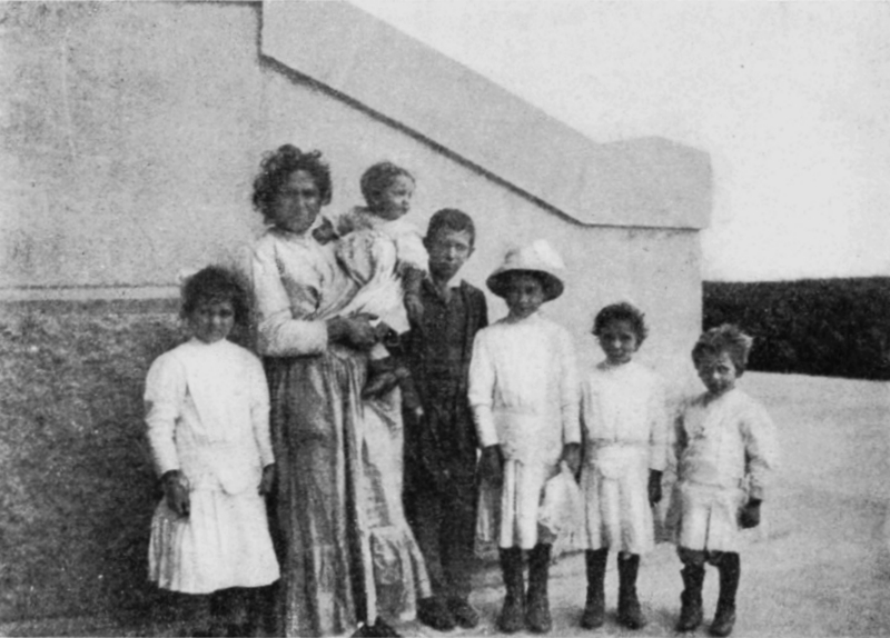 20 Vintage Photos of Big Immigration Families in the U.S From the Early ...