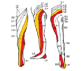 O Guia do Fisioterapeuta: Janeiro 2013