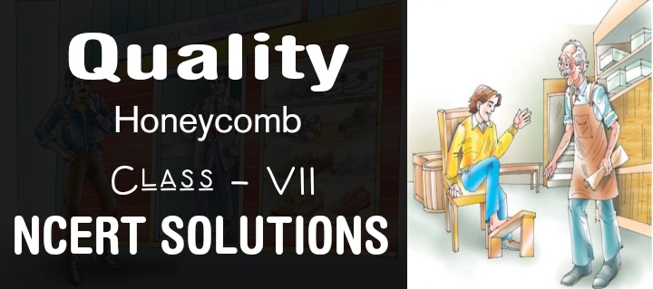 Quality Class 7 NCERT Solutions - edunation19