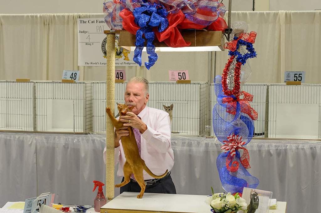 Bubba's Garage: Here Kitty, Kitty! A Trip to the National Capital Cat Show