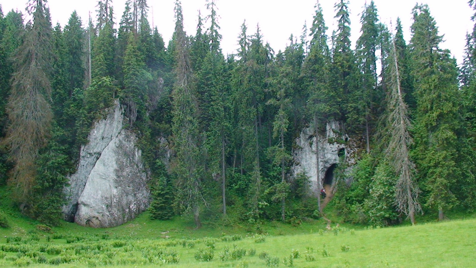 Ghe NICA-Blog: Cabana Padis-Poiana Rotunda-Pestera Caput-Chei Caput ...