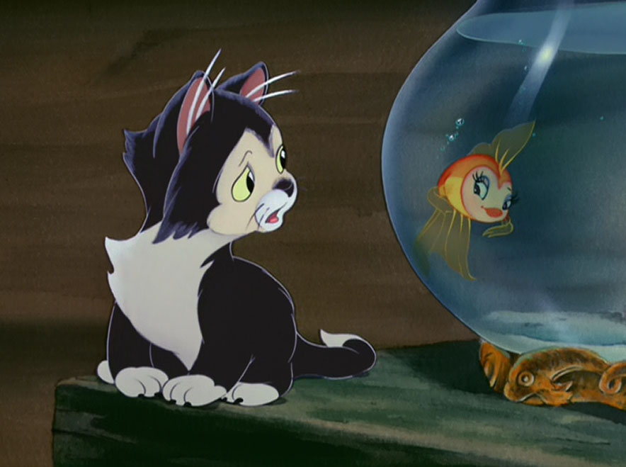 Pinocchio Cat And Fish