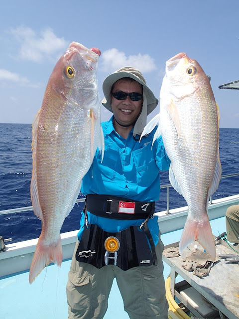 Glen's Fishing Adventures: Bintulu Marine Harvest Trip #1 - New species