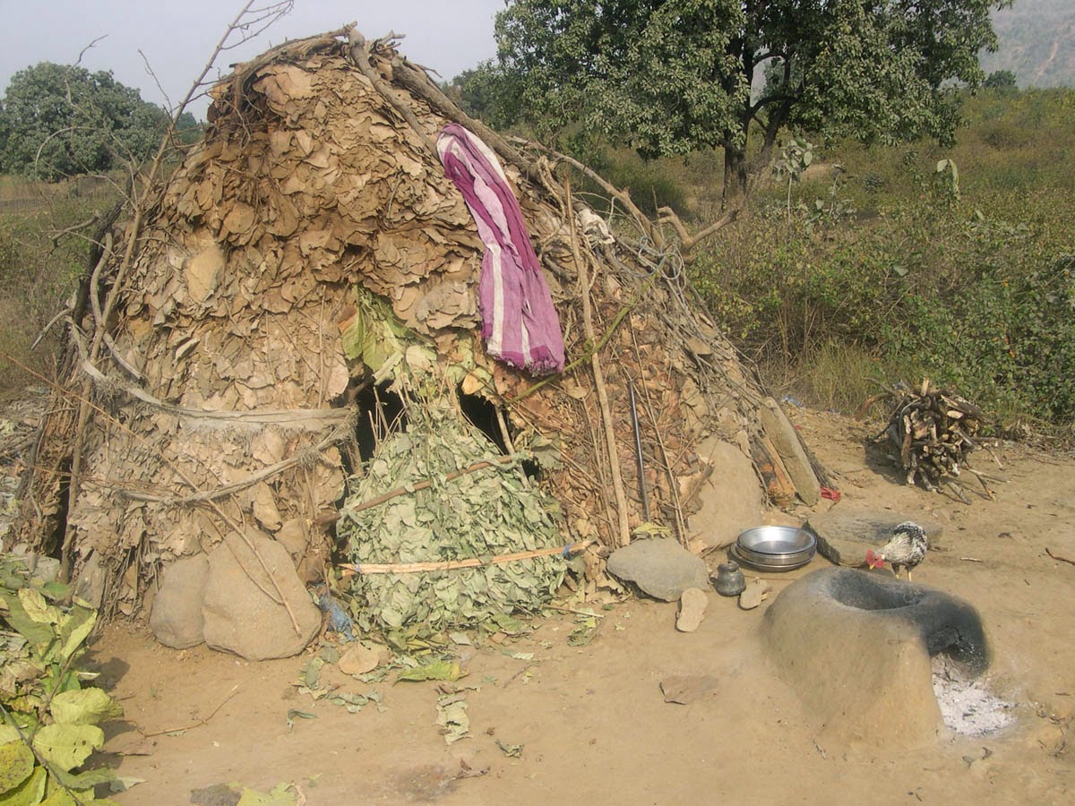 Gustav Imam: Birhor Tribe