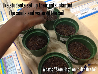 What's Skow-ing on in 4th Grade??: Learning About Plants